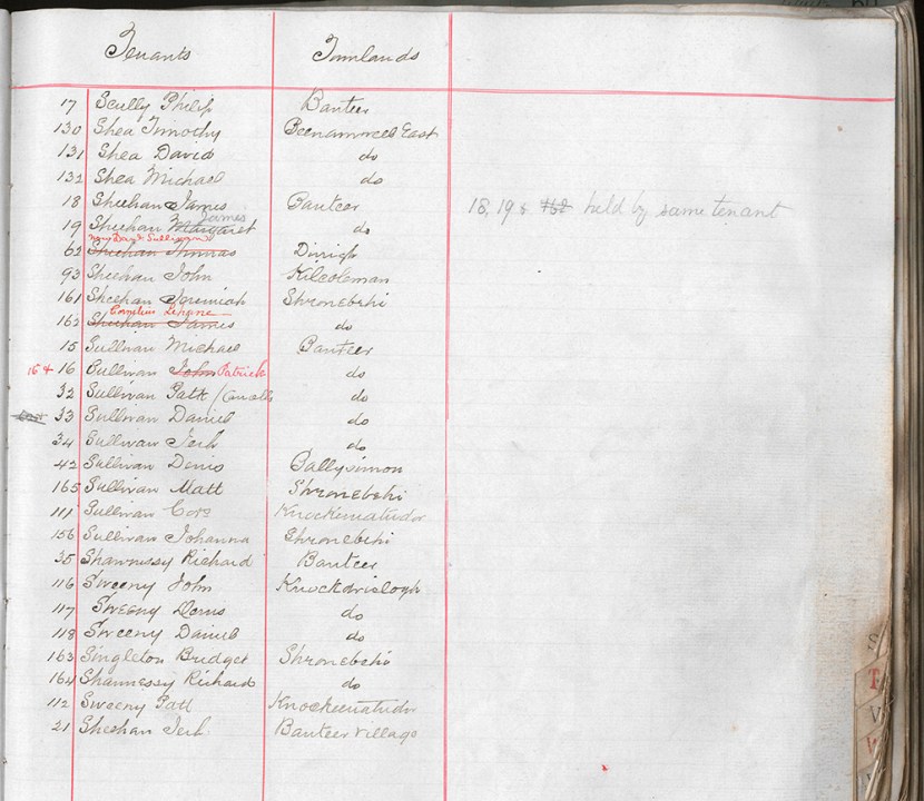 Rescued from Destruction: the Shanbally Castle Papers in the Looney ...