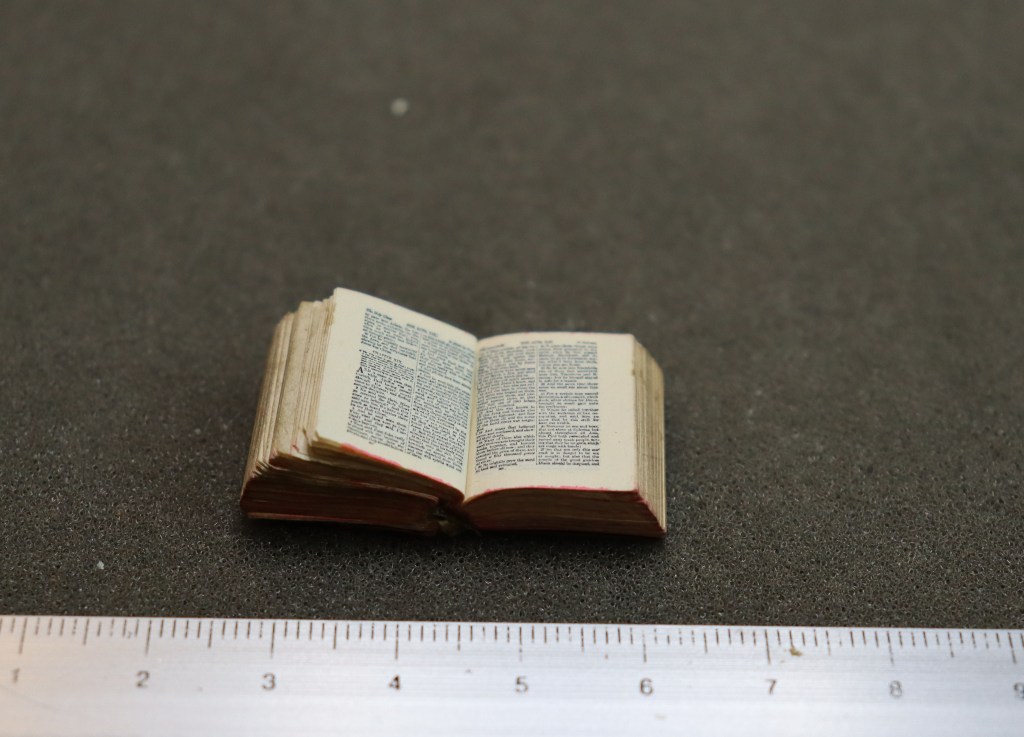 Miniatures in the Bolton Library - Unique and Distinctive