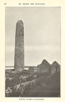 Cata, The Great Sea Monster of the Shannon - Unique and Distinctive