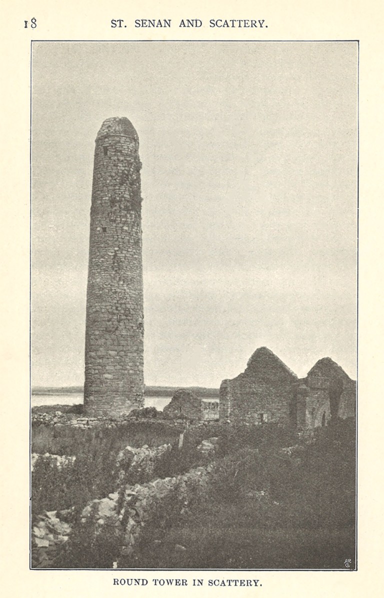 Cata, The Great Sea Monster of the Shannon - Unique and Distinctive